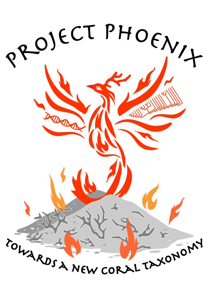 Project Phoenix